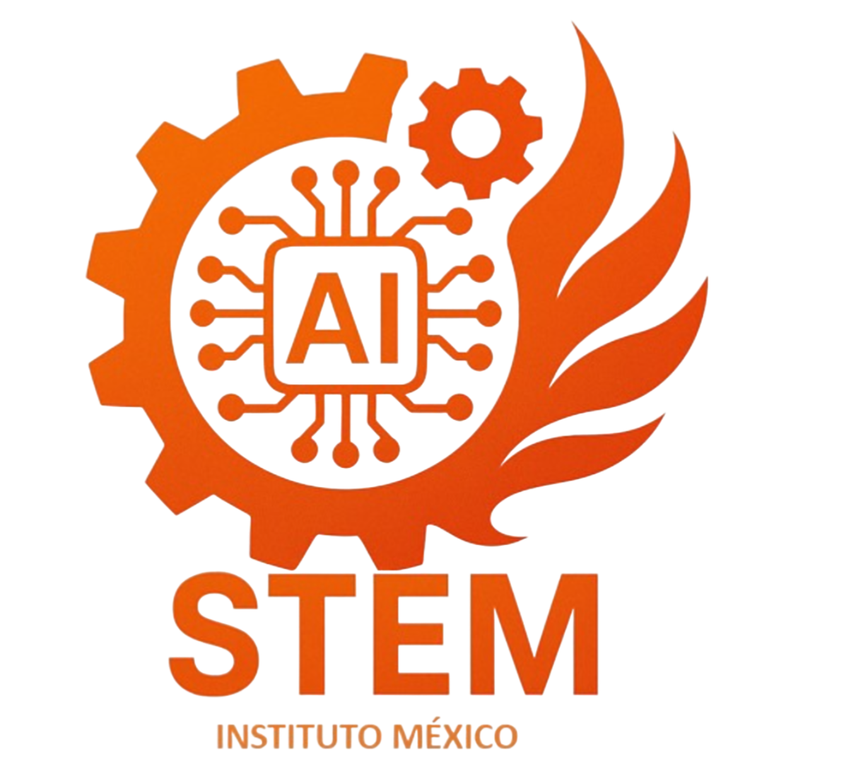 STEM Instituto México